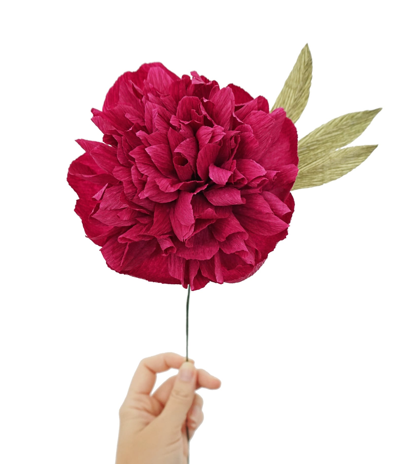 Double Bomb Peony: Handmade Crepe Paper Flower - Etsy