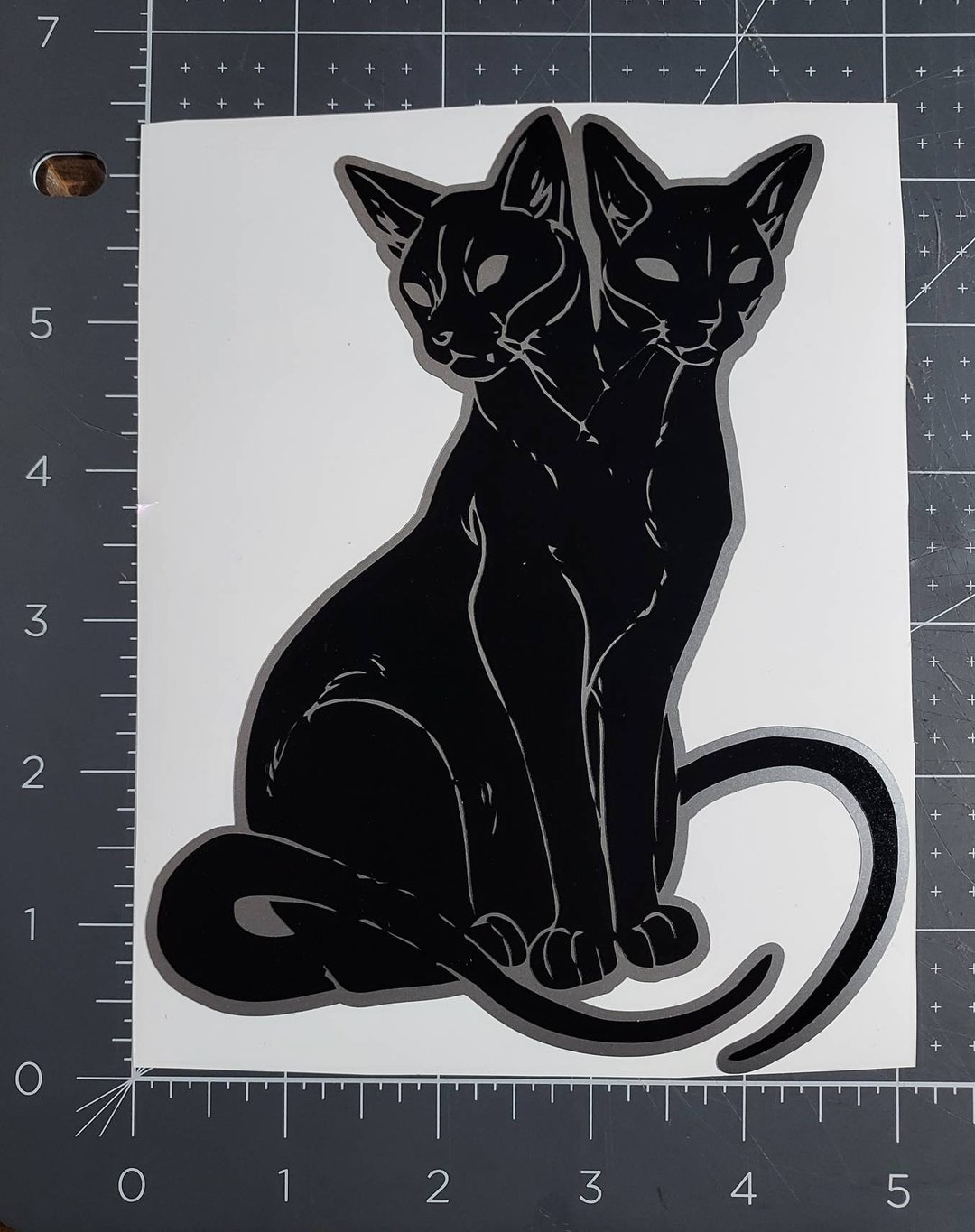 Bicephalic, Polycephaly, Two Headed Feline Hairless Kitty Cat. Sphynx ...