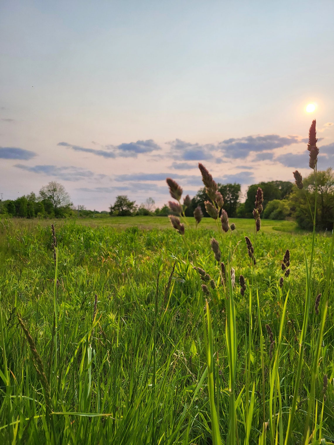 Printable Nature Photos, Sunsets, Dusk, Wall Art, Sunset Landscape ...