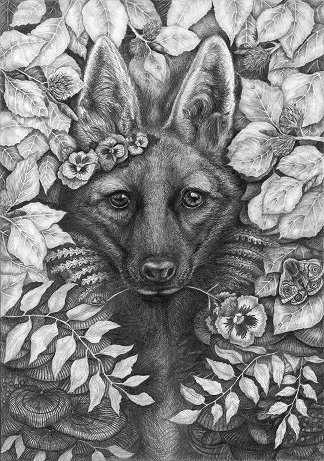 Art Print / B&W / Maned Wolf / Forest / Nature / Plants / Trees ...