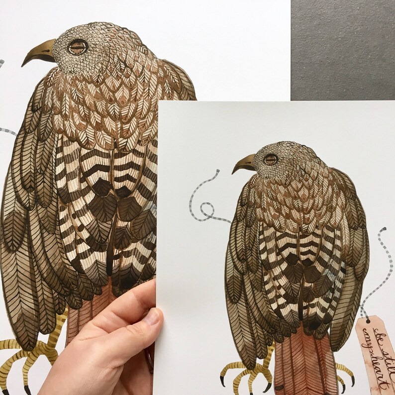 LARGE Red Tail Hawk Print Giclee Art Print Bird Orf Prey - Etsy