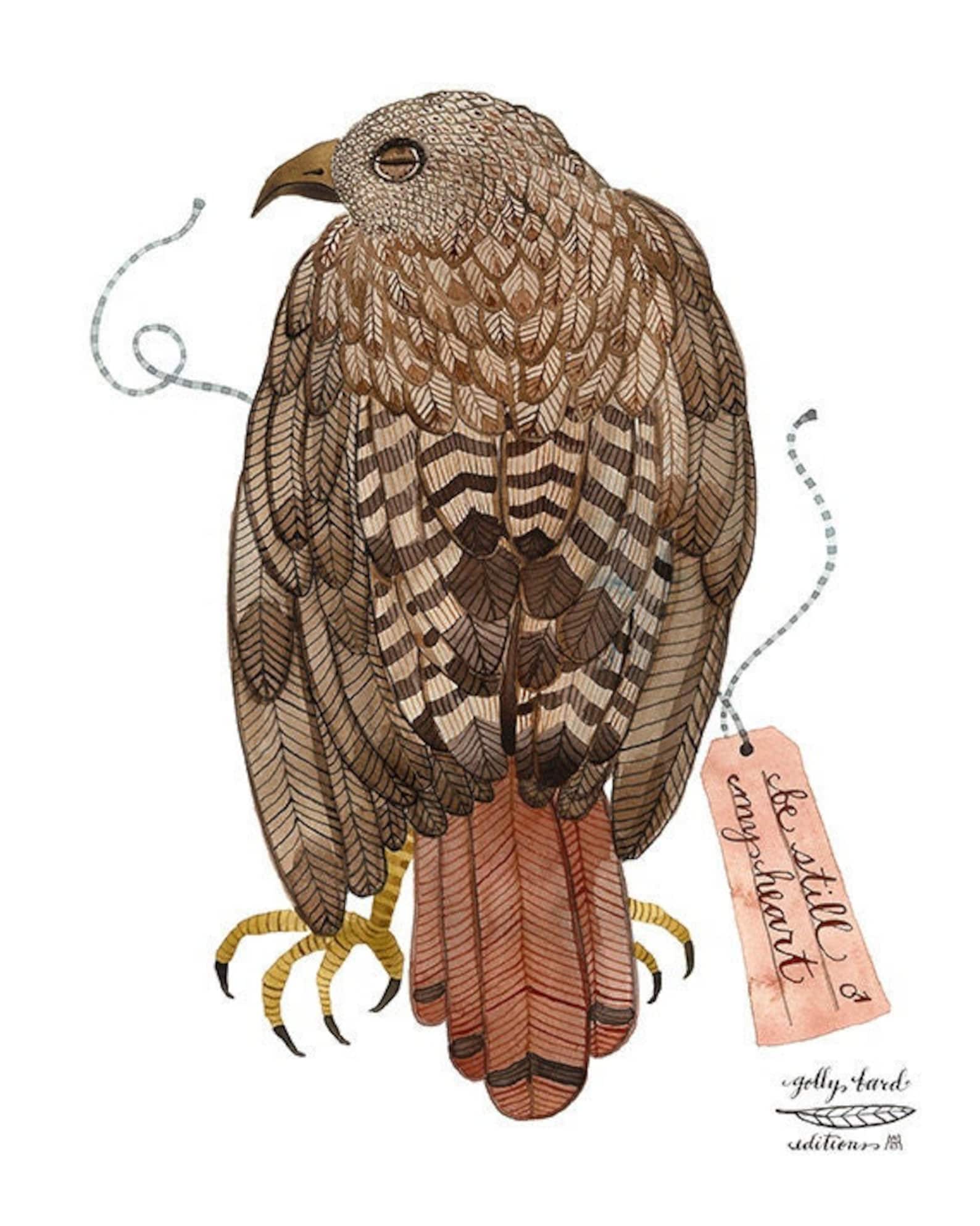 Red Tailed Hawk Bird Specimen Print by Golly Bard - Etsy