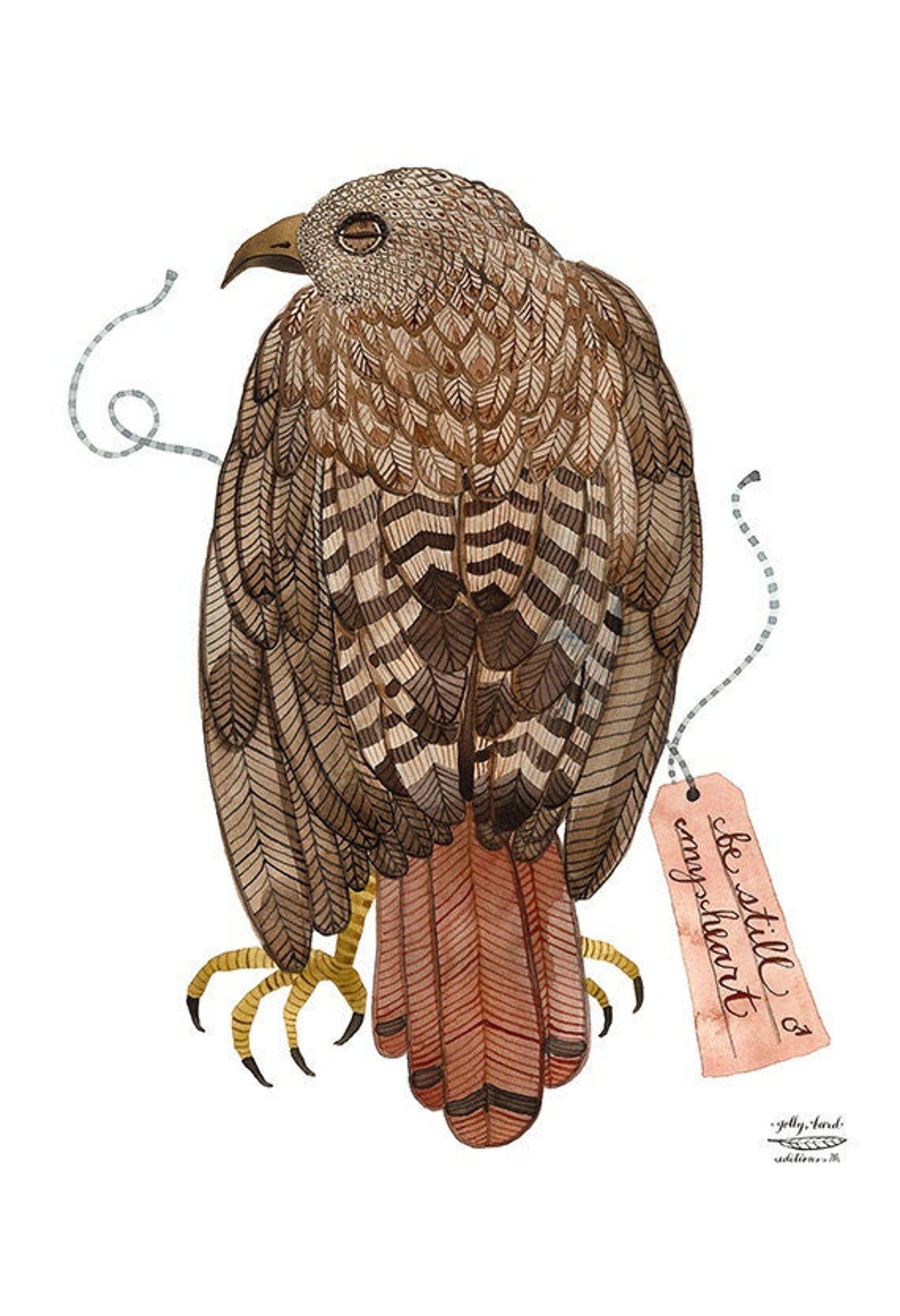 LARGE Red Tail Hawk Print Giclee Art Print Bird Orf Prey - Etsy