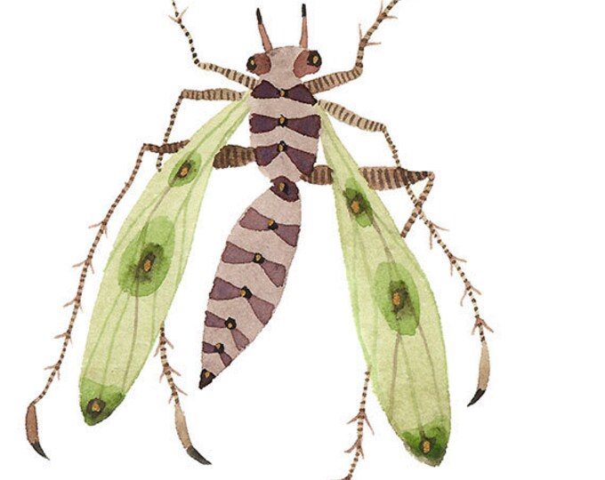 Sap Tipped Fly Insects Miniature Small Watercolor Painting - Etsy