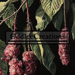 Amaranthus Flower Printable Art | Digital Botanical Wall Decor ...