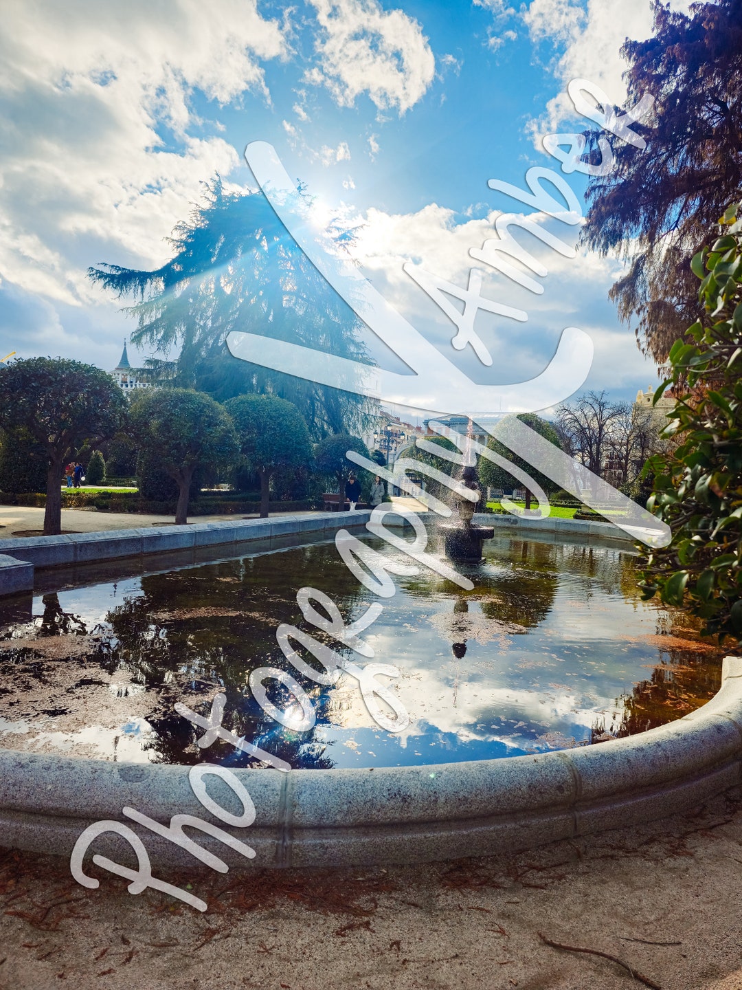 Photograph of Ahuehuete De El Parterre in Madrid Spain - Etsy