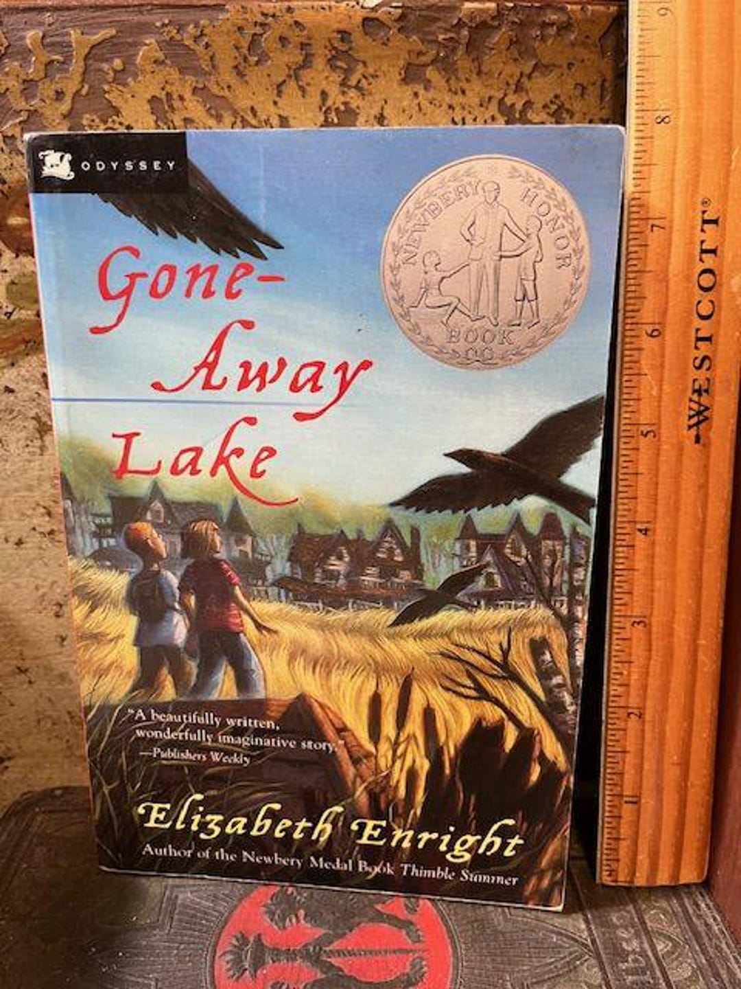 Gone Away Lake Vintage 2000 PB Book Elizabeth Enright Newbery Honor - Etsy