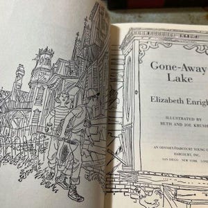 Gone Away Lake Vintage 2000 PB Book Elizabeth Enright Newbery Honor - Etsy