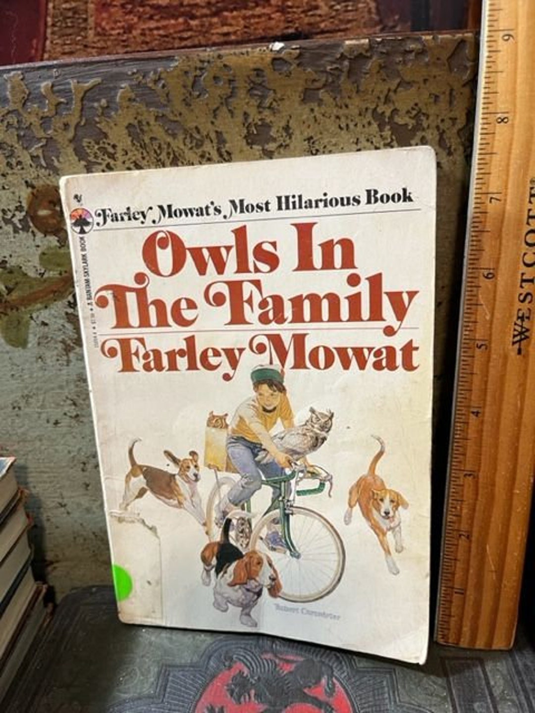 1981 Owls in the Family Pb Book Farley Mowat Vintage Childrens Book - Etsy