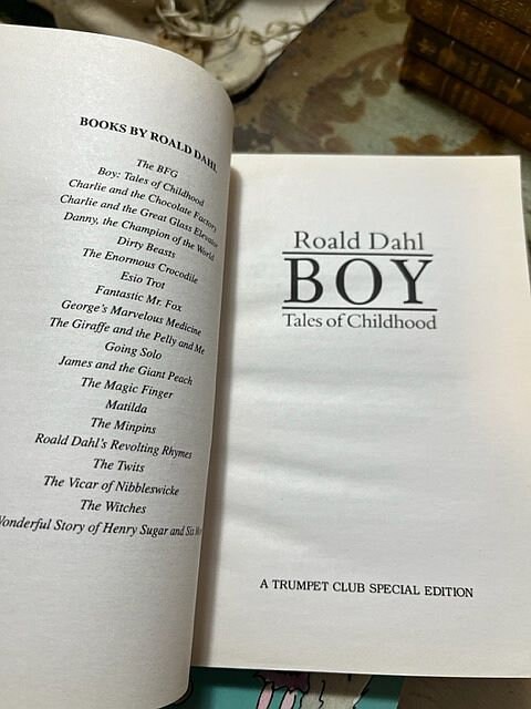 Boy Tales Of Childhood