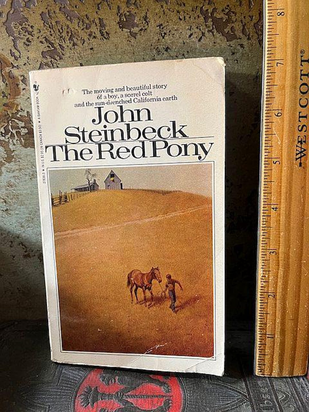 1988 the Red Pony John Steinbeck Pb Book Complete Text Bantam Book - Etsy
