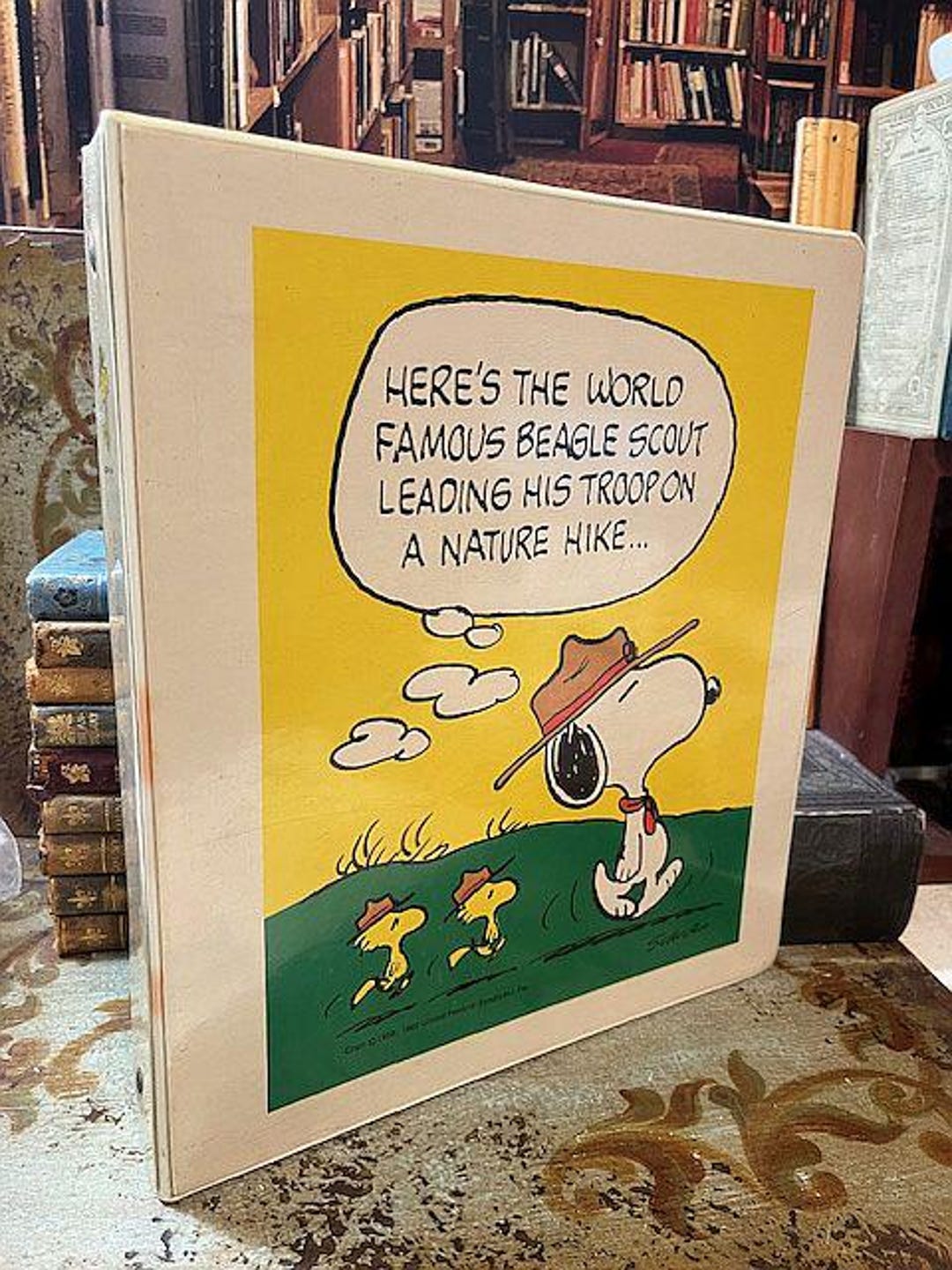 Vintage Peanuts SNOOPY 3 Ring Binder Beagle Scout Nature Hike Woodstock ...