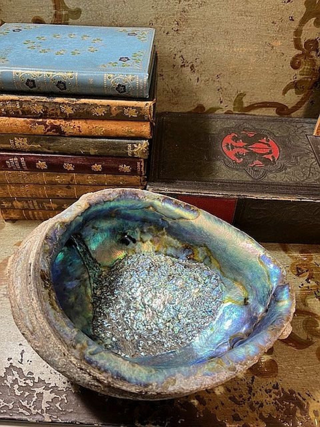 Vintage Abalone Shell Awesome Natural Blue Design Inside - Etsy