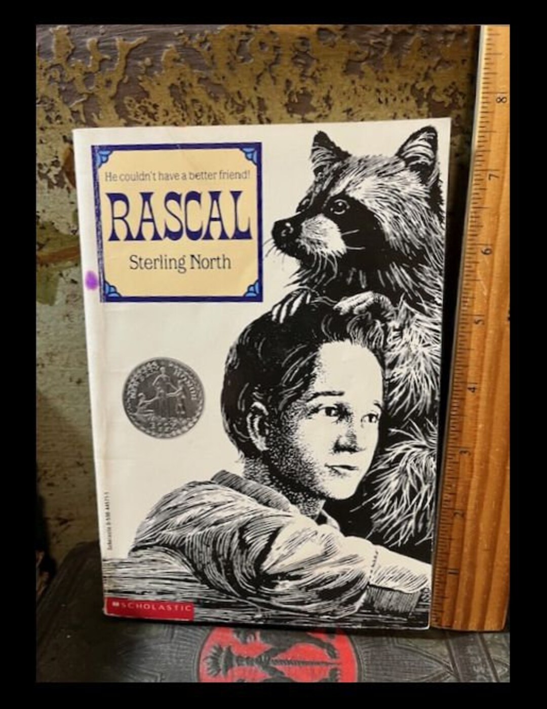 1991 Rascal by Sterling North PB Childrens Book Vintage Newbery Honor ...
