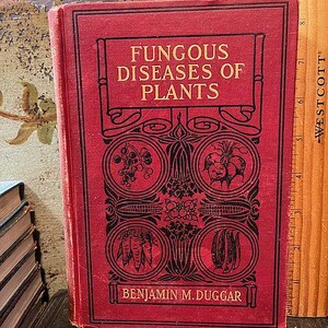1909 Fungous Diseases of Plants Hb Book Benjamin Duggar Physiology ...