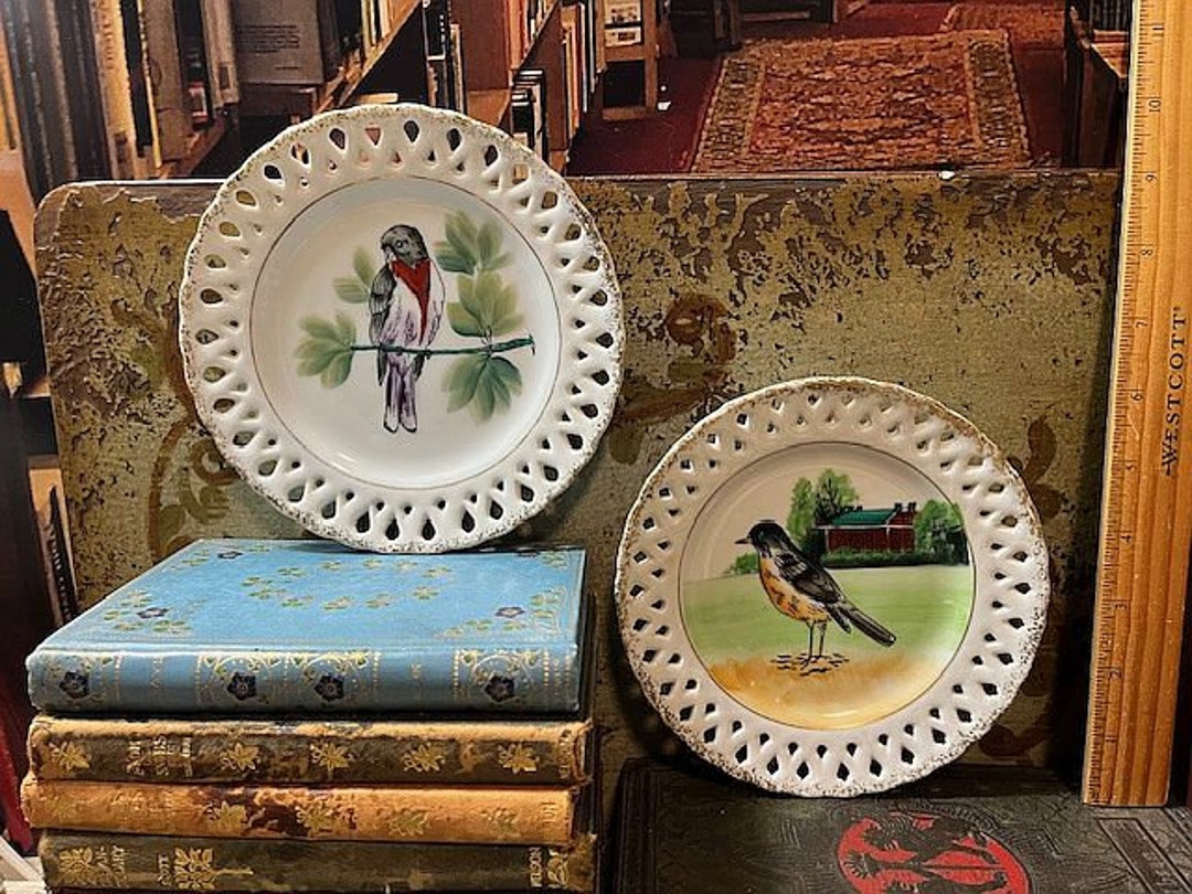 Nice Vintage Set of 2 Bird Plates Birds Openwork Edge Robin Rose ...