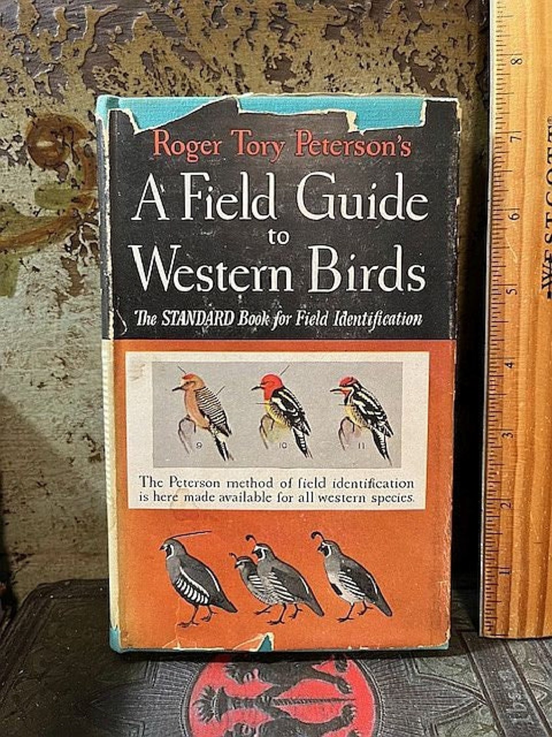 1941 Vintage A Field Guide to Western Birds HB W/dj Book Bird Observing ...
