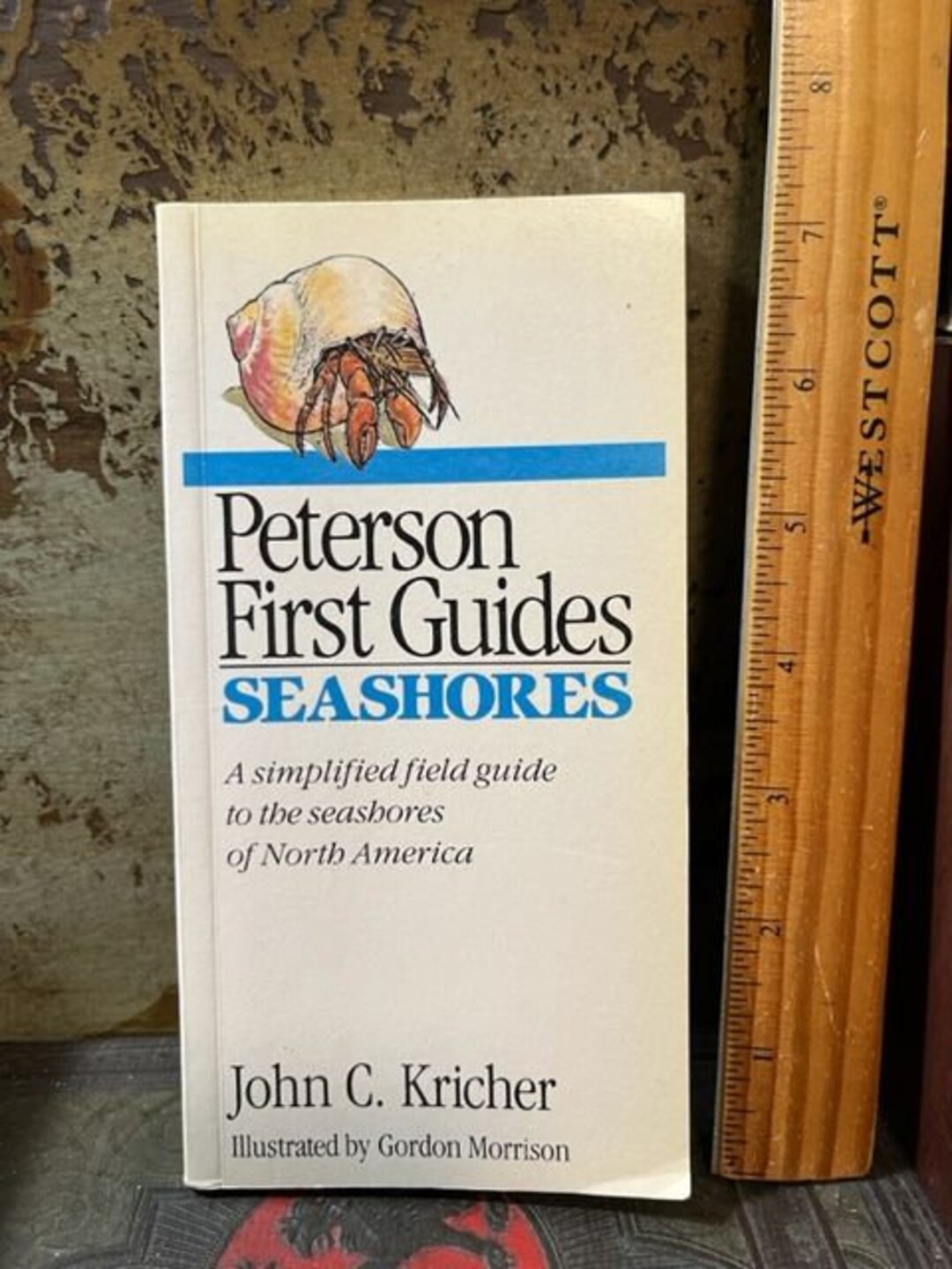 1992 Peterson First Guides SEASHORES Book A Concise Field Guide Animals ...