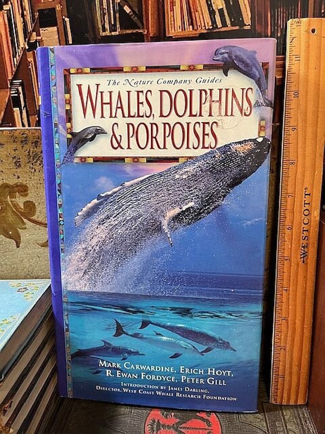 1998 Whales Dolphins and Porpoises the Nature Company Guides Vintage Hb ...