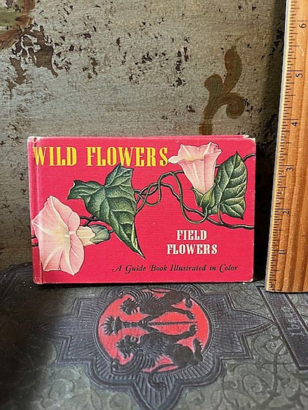 1945 Wild Flowers Field Flowers A Guide to HB Small Book Whitman ...