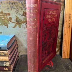 1909 Fungous Diseases of Plants Hb Book Benjamin Duggar Physiology ...