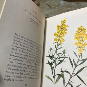 1968 Beautiful Wildflowers Vintage Hallmark Book HB W/dj With 20 ...