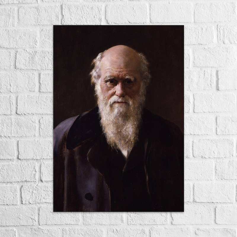 Charles Darwin - Etsy
