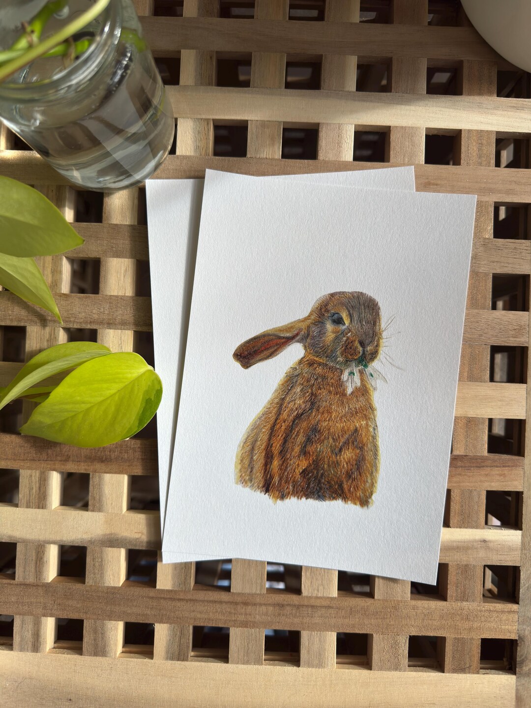 Rabbit Bunny Wildlife Art Print A5 - Hand Drawn Illustration Printed on ...