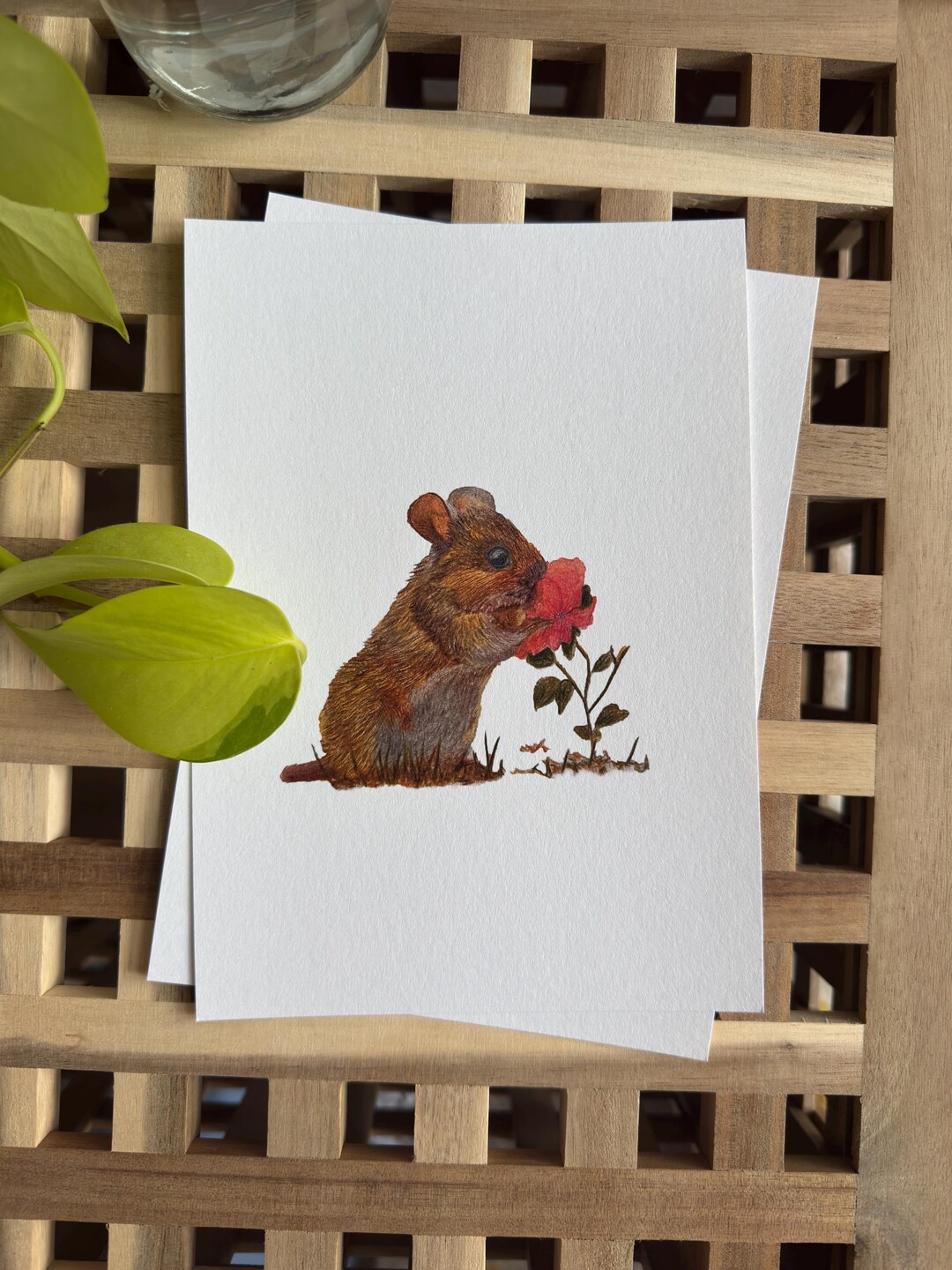 Field Mouse Wildlife Art Print A5 - Hand Drawn Illustration Printed on ...