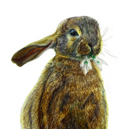 ArtByEllice - Etsy UK