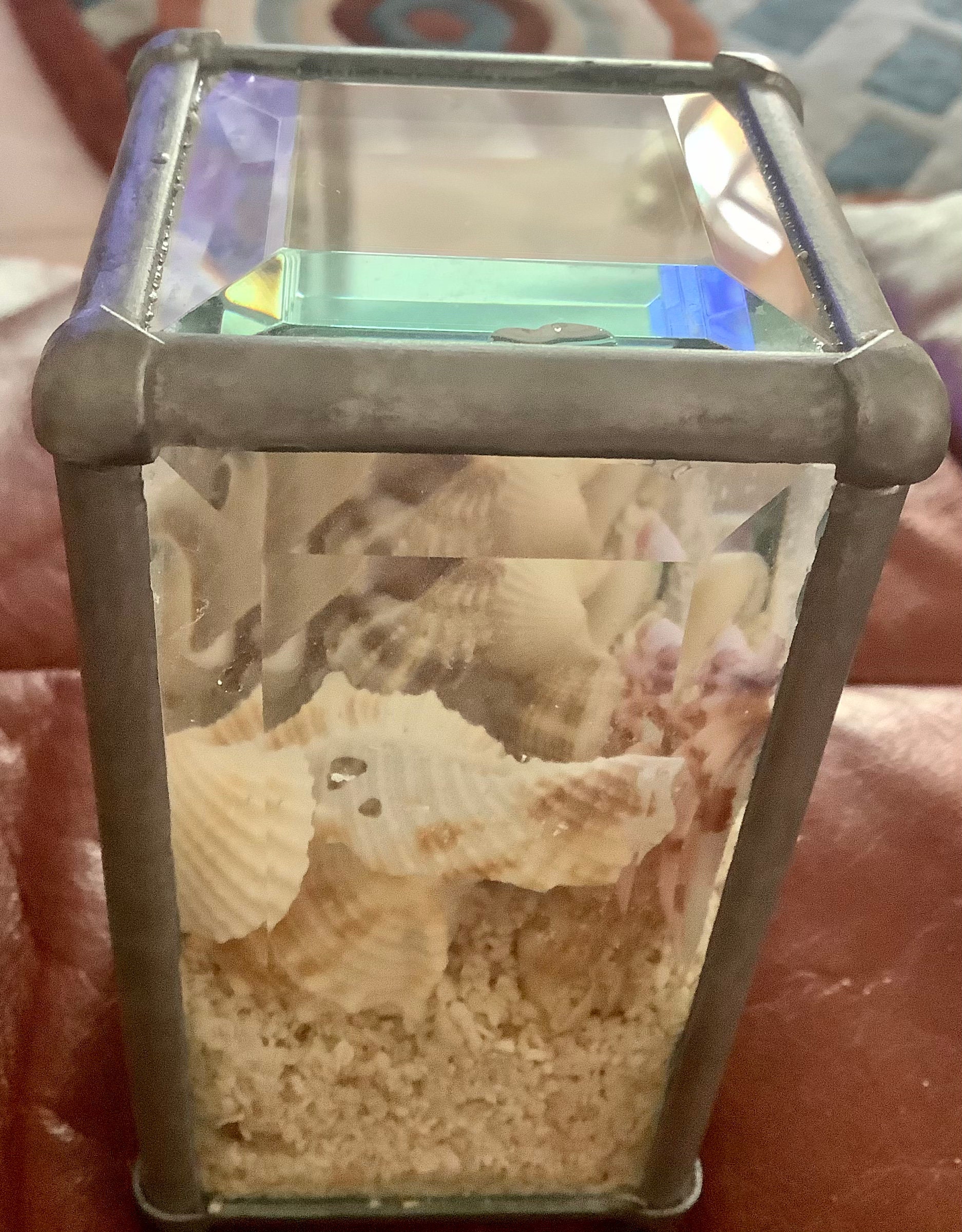 Vintage Sea Shell Cut Glass Container 4 by 2 Tropical - Etsy.de