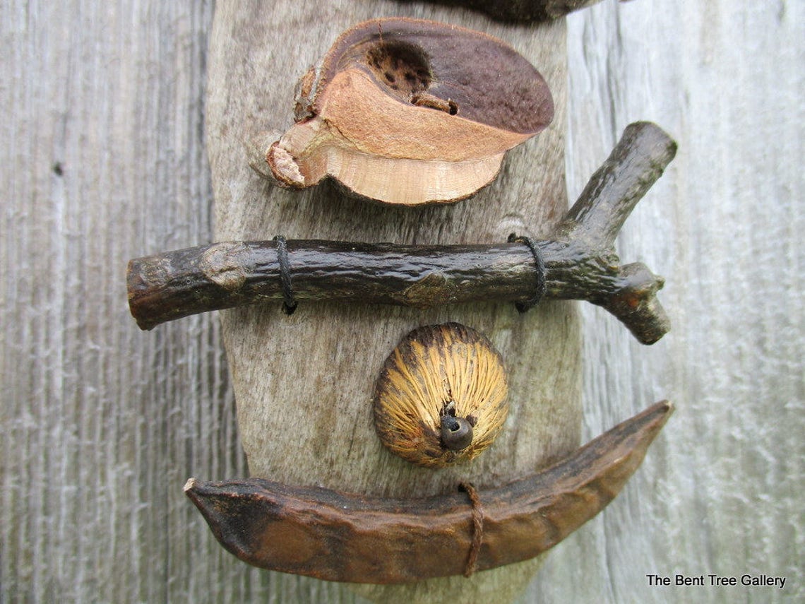 Nature Wall Art by the Bent Tree Gallery OOAK - Etsy