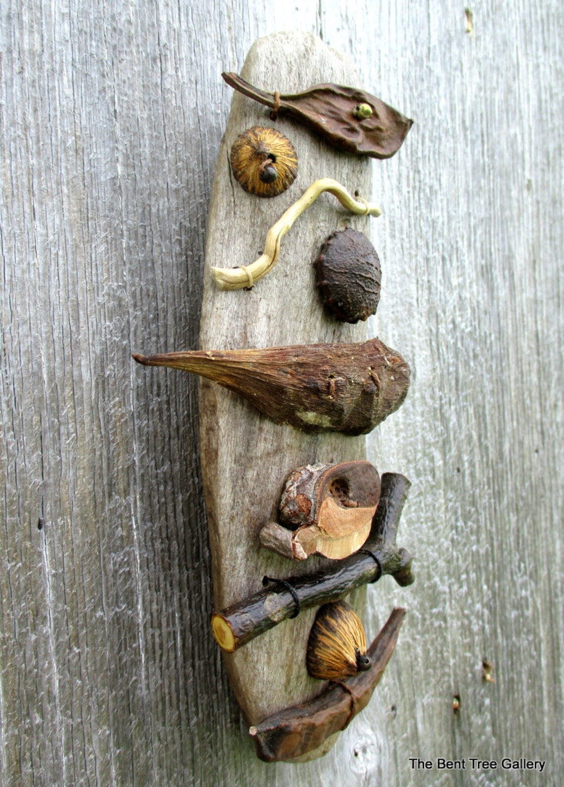 Nature Wall Art by the Bent Tree Gallery OOAK - Etsy