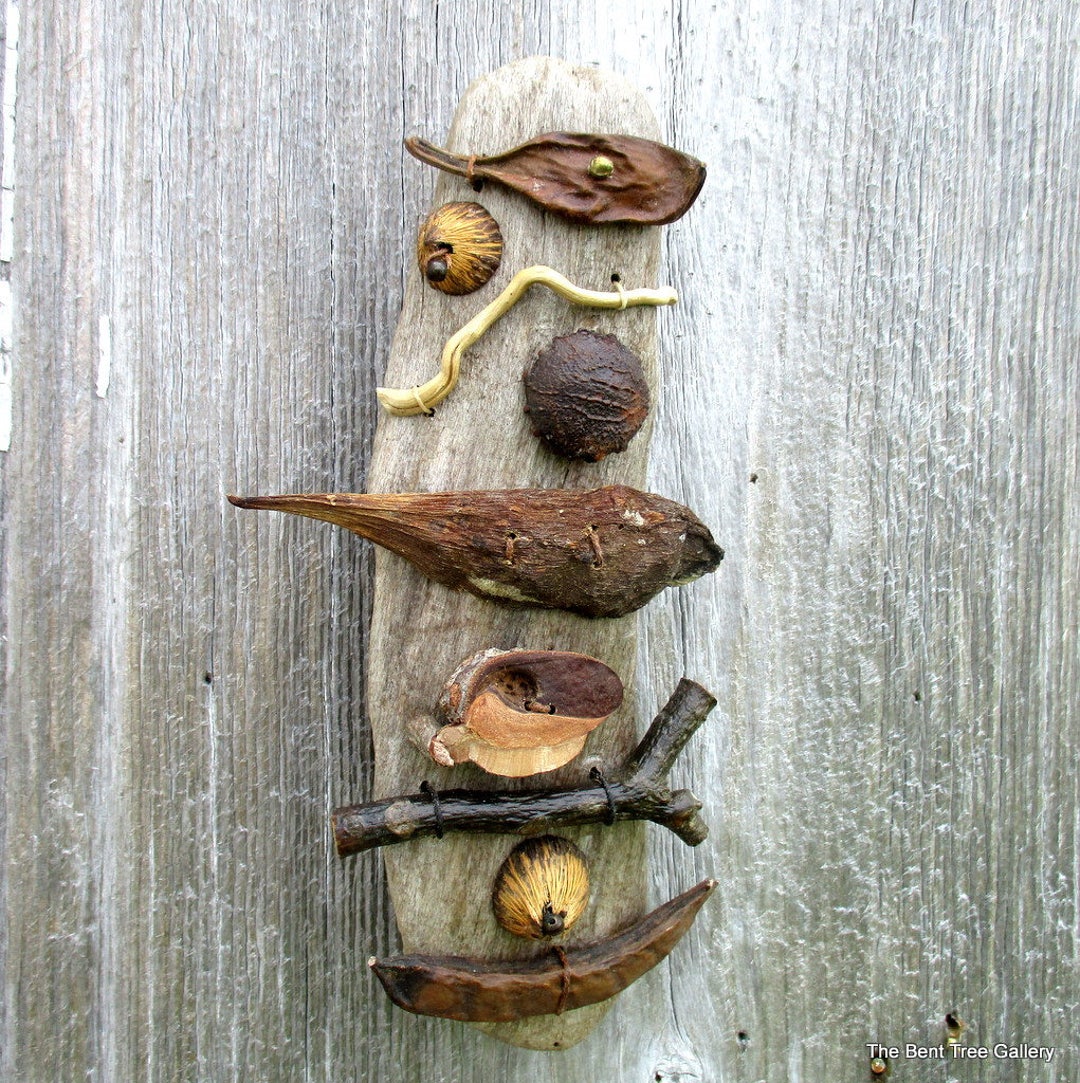 Nature Wall Art by the Bent Tree Gallery OOAK - Etsy