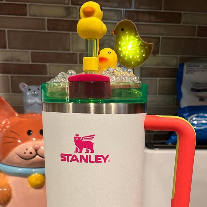 Stanley Cup Duck Topper - Etsy