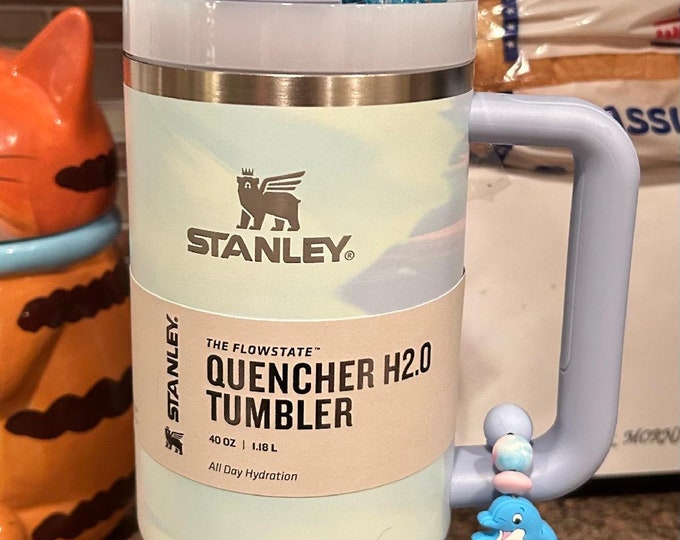 Stanley Ice Topper-fruit - Etsy UK