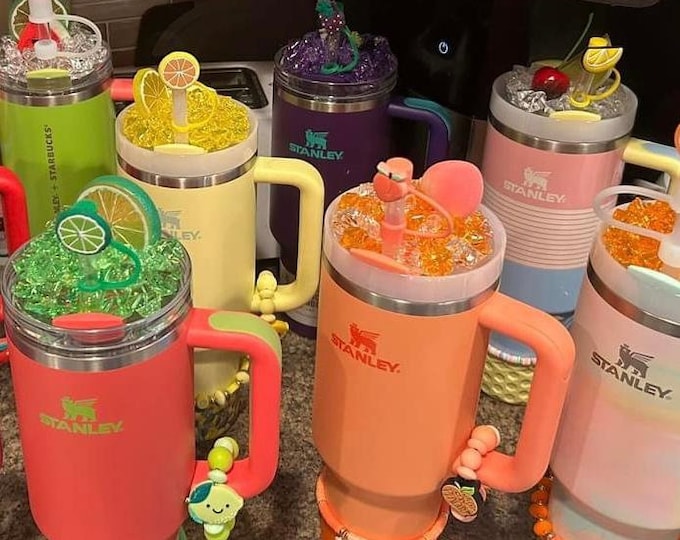 Stanley Ice Topper-fruit - Etsy