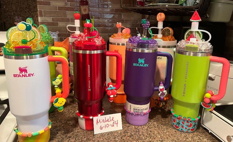 Stanley Ice Topper-fruit - Etsy