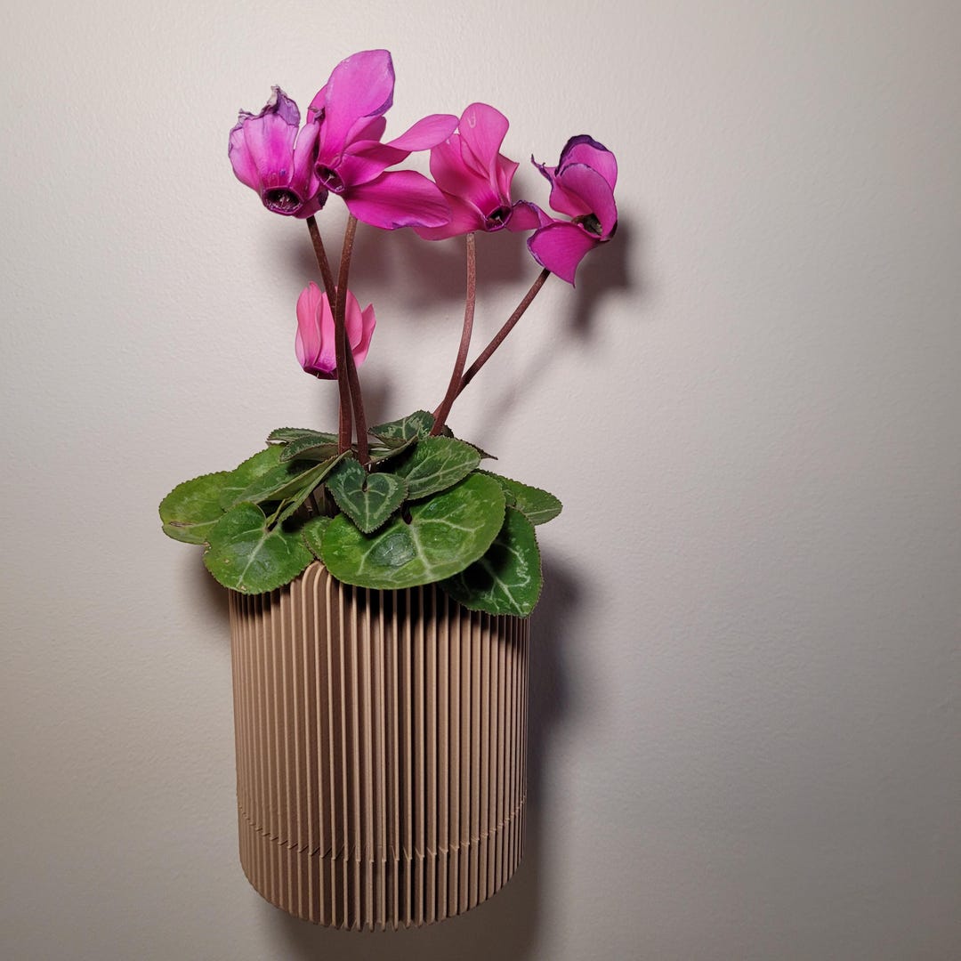 3D Printed Wall Planters, With Wall Strip to Hang Them. One Green, Two ...