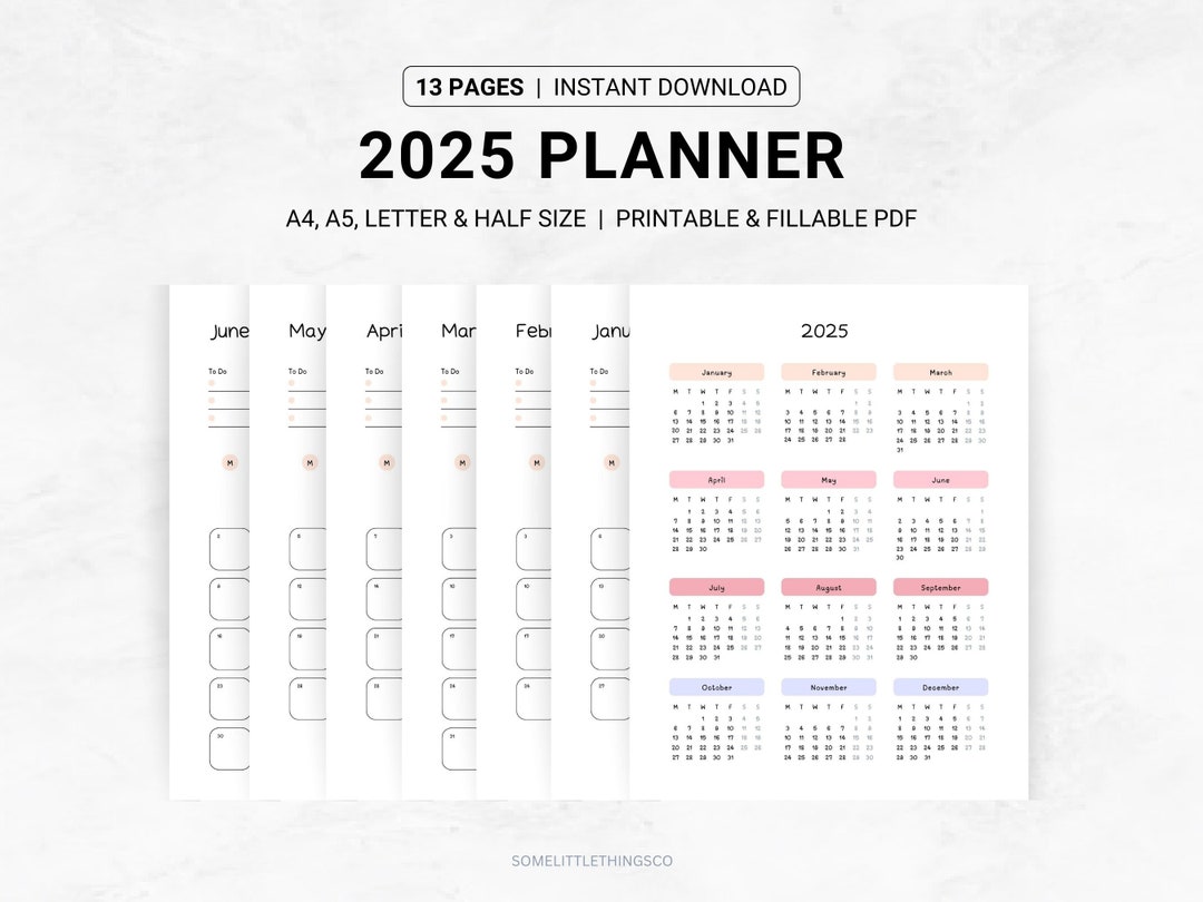 2025 Printable Planner & Fillable PDF, Task Tracker, Digital Planner ...