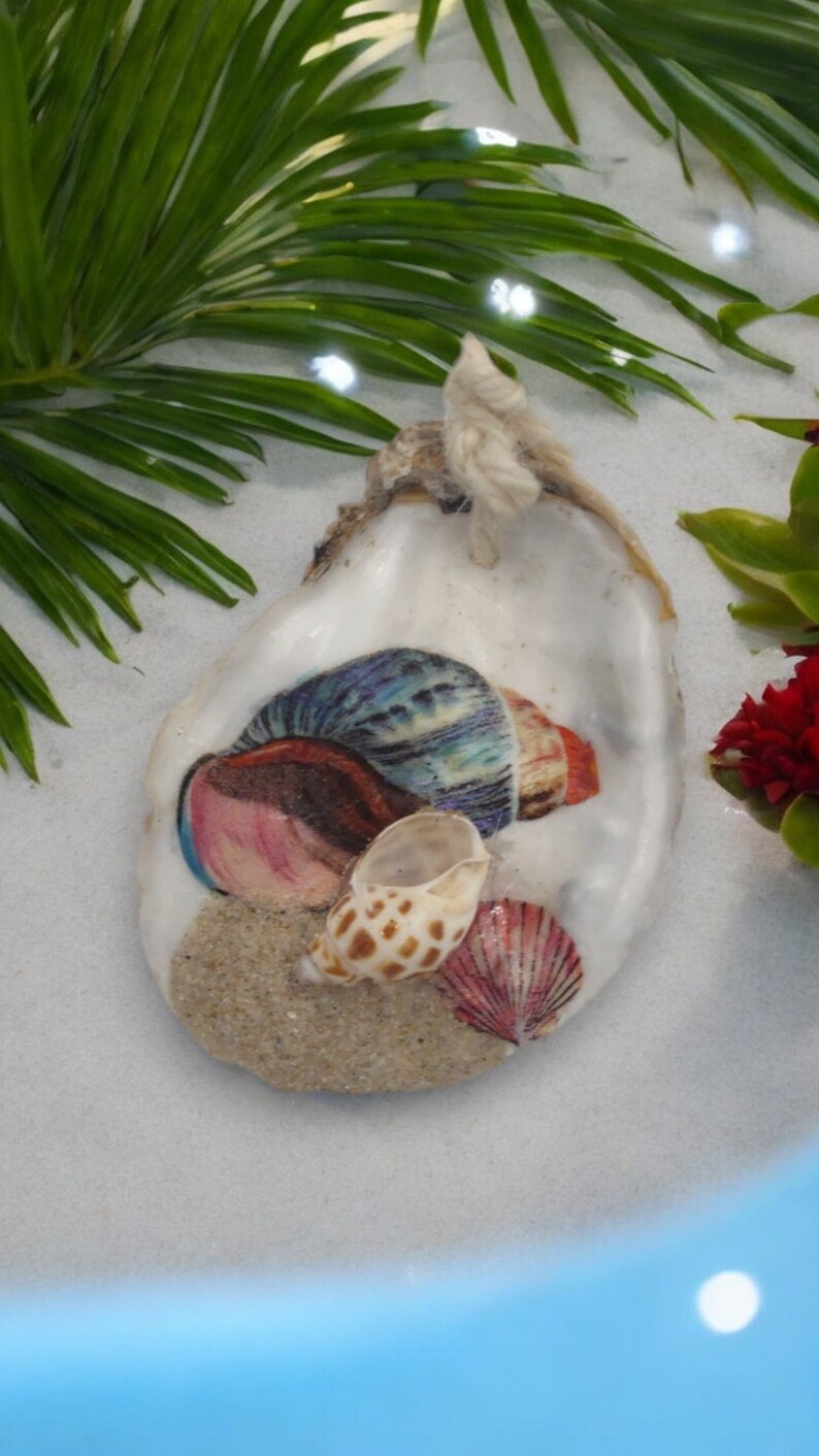 Coastal Seashell Holiday Ornament. Sand and Shells Straight From the ...