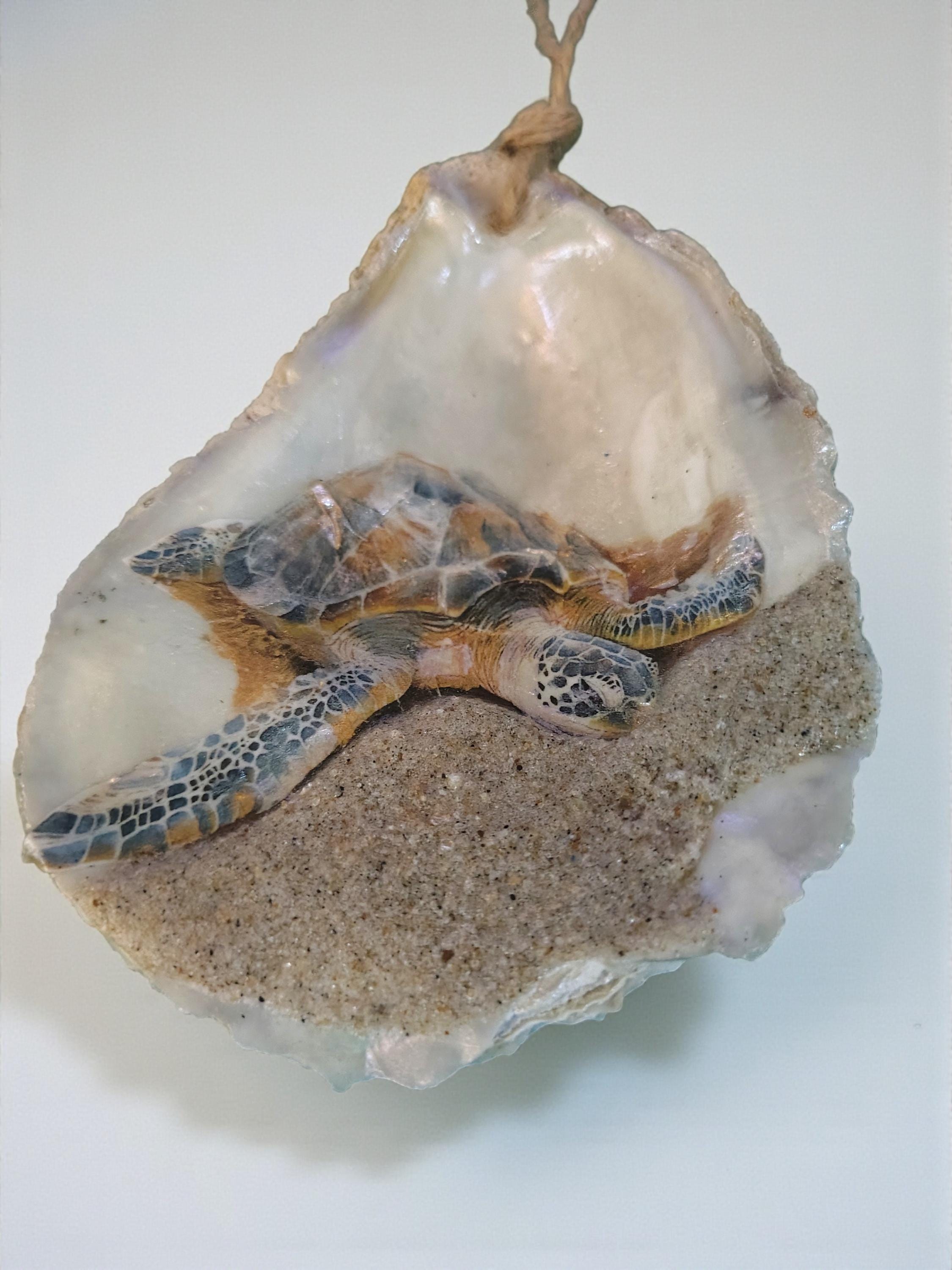 Sea Turtle Christmas Ornament: Oyster Shell With Assateague Island Sand ...
