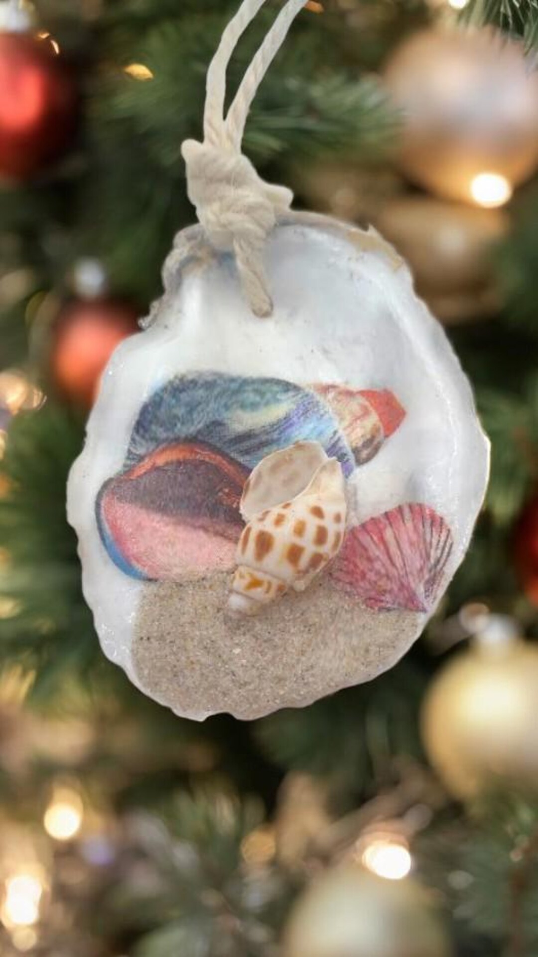 Coastal Seashell Holiday Ornament. Sand and Shells Straight From the ...