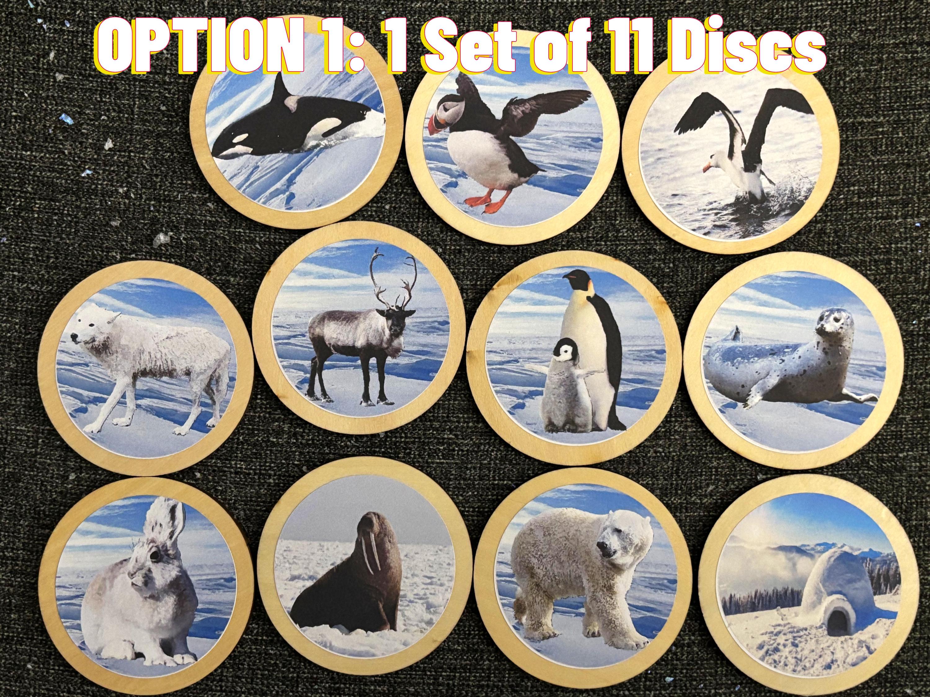Winter Arctic Polar Animals Memory Match Game | Wooden Montessori ...
