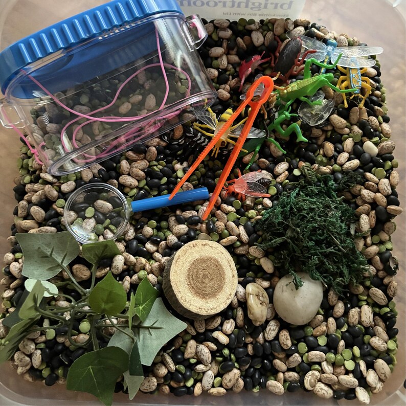 Bug Hunt Sensory Bin With Recipe Cards & Props - Etsy
