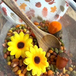 Squirrel Soup Sensory Bin | Recipe Cards | Montessori | Pretend Play ...