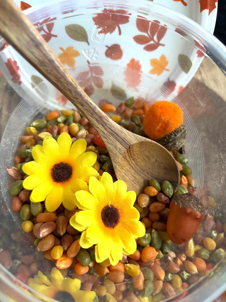 Squirrel Soup Sensory Bin | Fall Activity, Counting Cards (PDF or ...