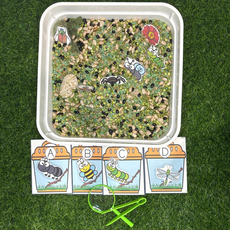 Bug Insect Task Box | Montessori L Letter Recognition | BUGS A TO Z ...