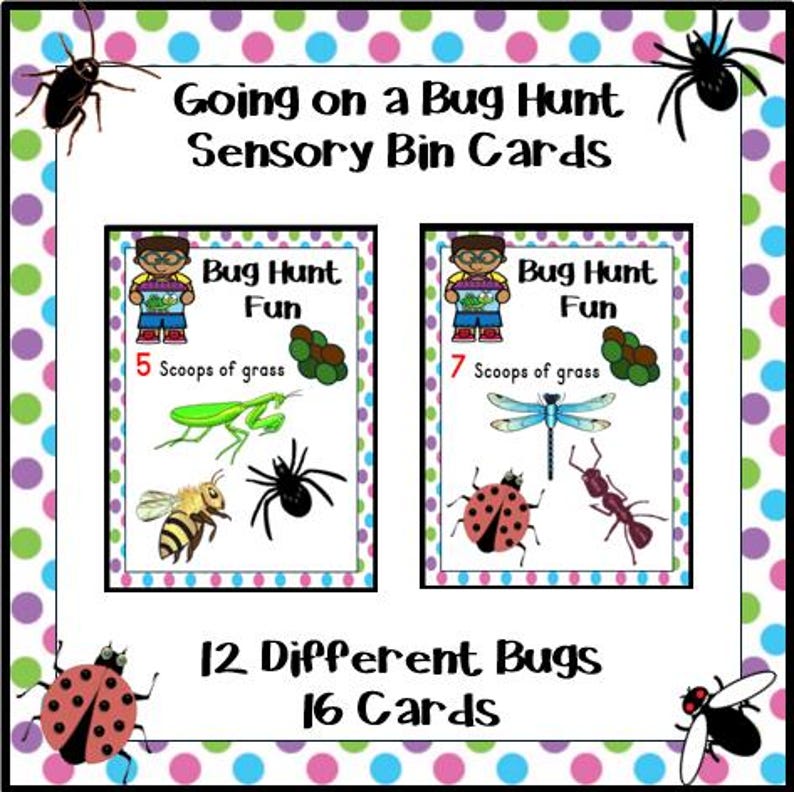 Going on a Bug Hunt Sensory Bin Cards | Sensory Bin Activity | Insect ...