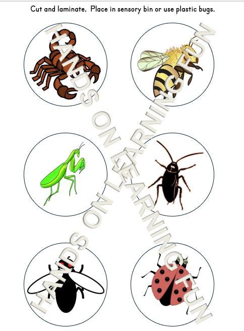 Going on a Bug Hunt Sensory Bin Cards | Sensory Bin Activity | Insect ...